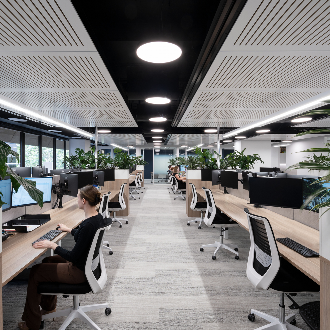 MGI Office Refurbishment - Rohrig